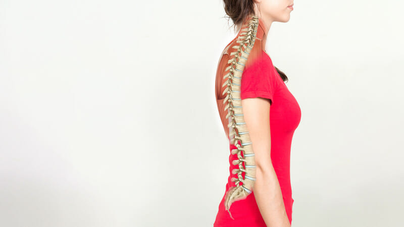 Spine Anatomy: The Basics | Summit Orthopedics