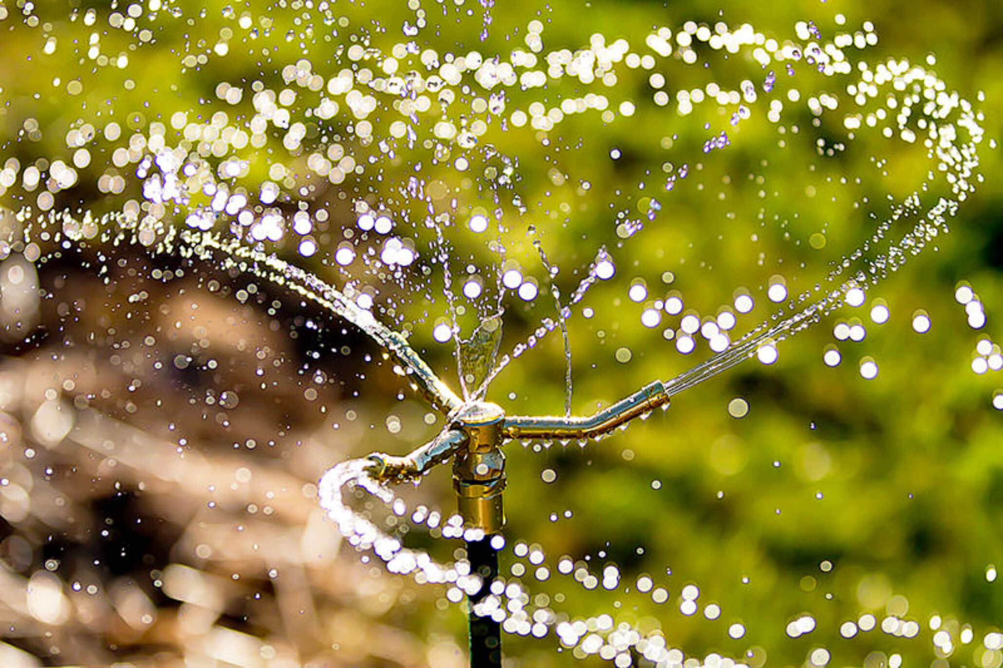 Ask Dr. Voight: Why Are Sprinklers Banned On Marathon Routes? | Summit ...