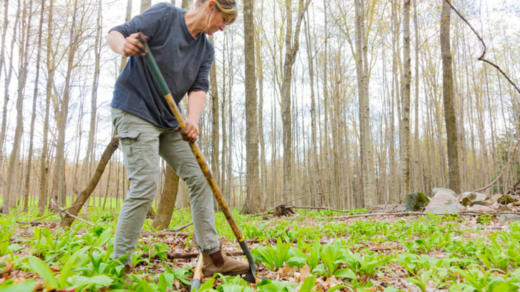Proper Lifting Techniques Protect Your Spine | Summit Orthopedics
