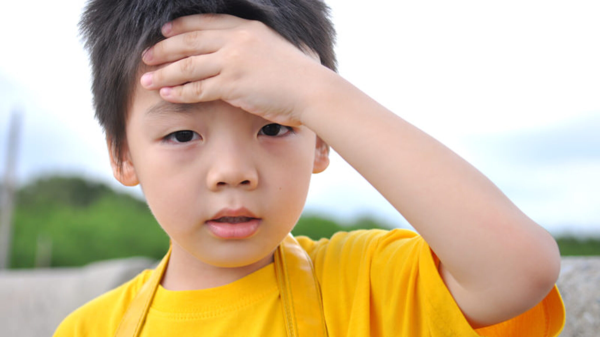 Ask Dr. Skendzel: What Does New Research Tell Us About Concussion Risks ...